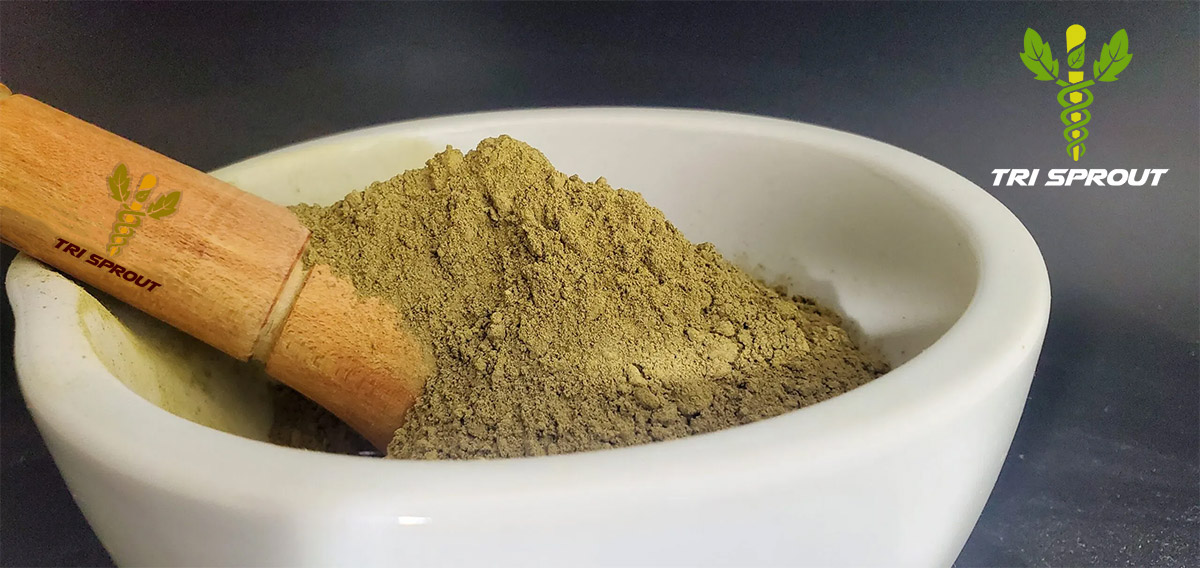 Red Maeng Da and What It Can Do For You - Tri Sprout Kratom - Shop For Kratom Online