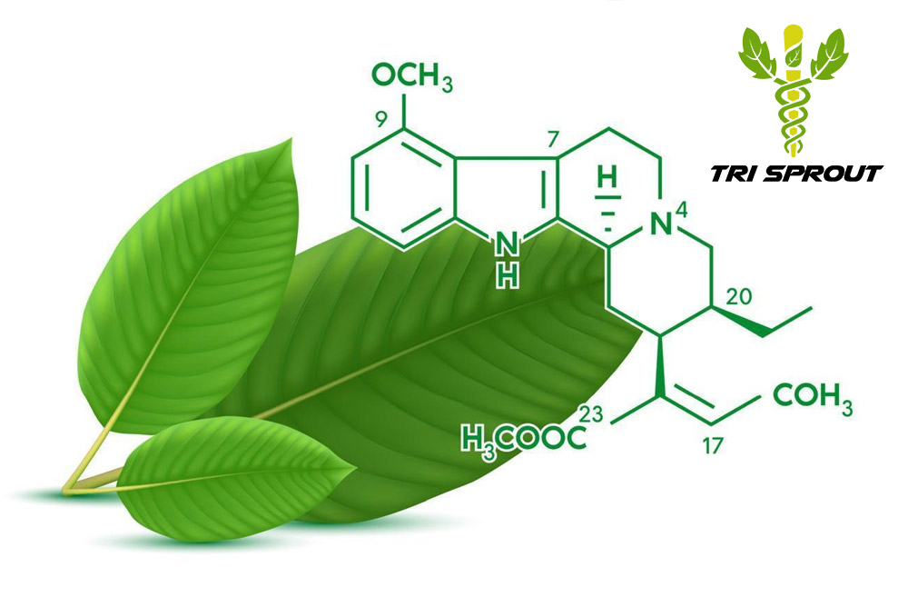 Understanding Kratom Alkaloids and Their Properties - Tri Sprout Kratom ...